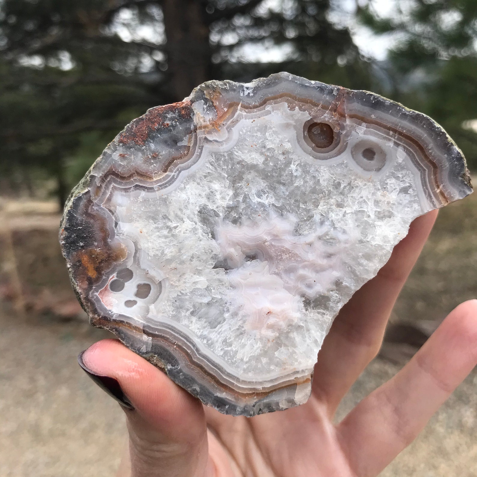 Laguna Lace Agate Lapidary rough slab nodule natural stone not | Etsy