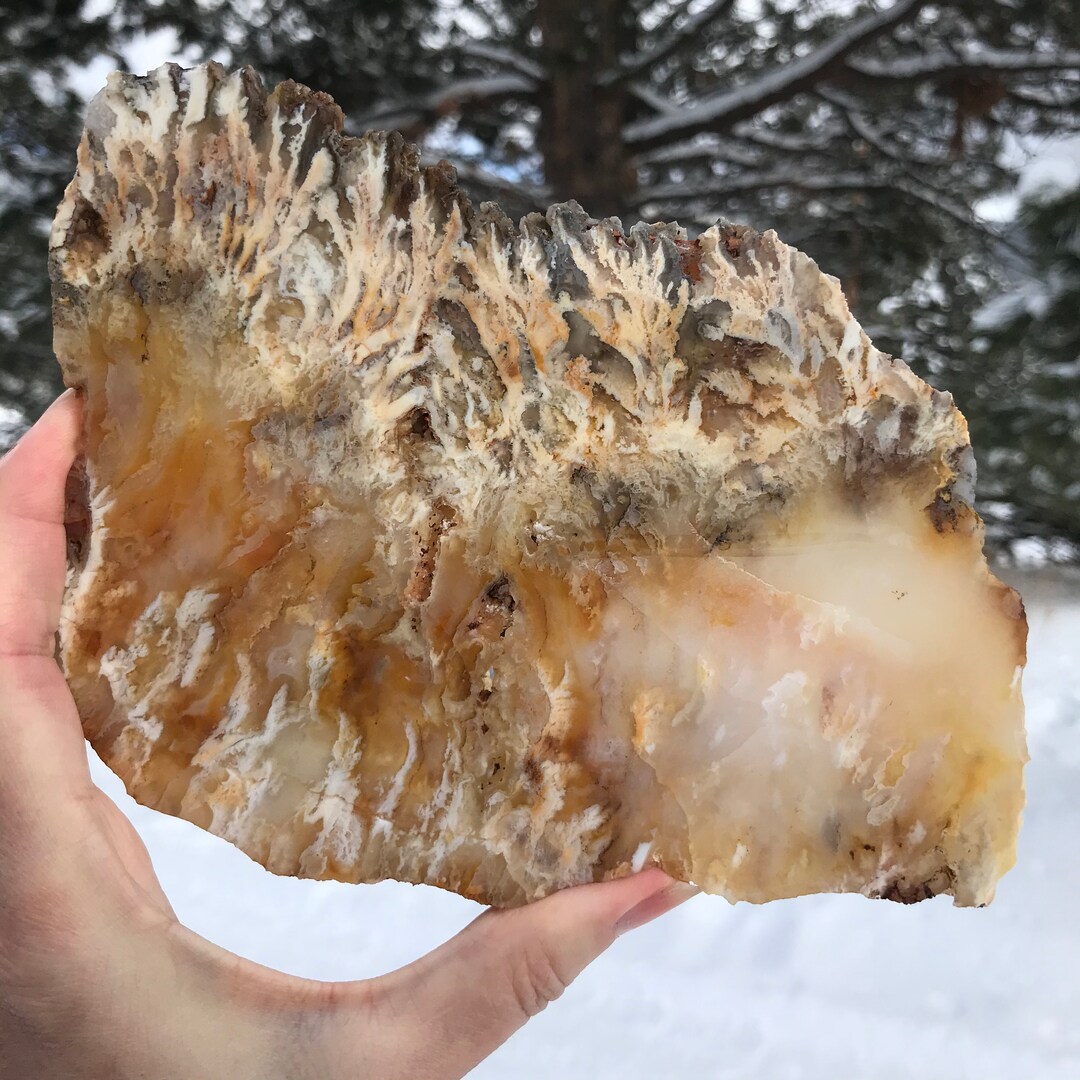 Regency Rose Plume Agate Lapidary Slab Natural Stone Not Polished for ...
