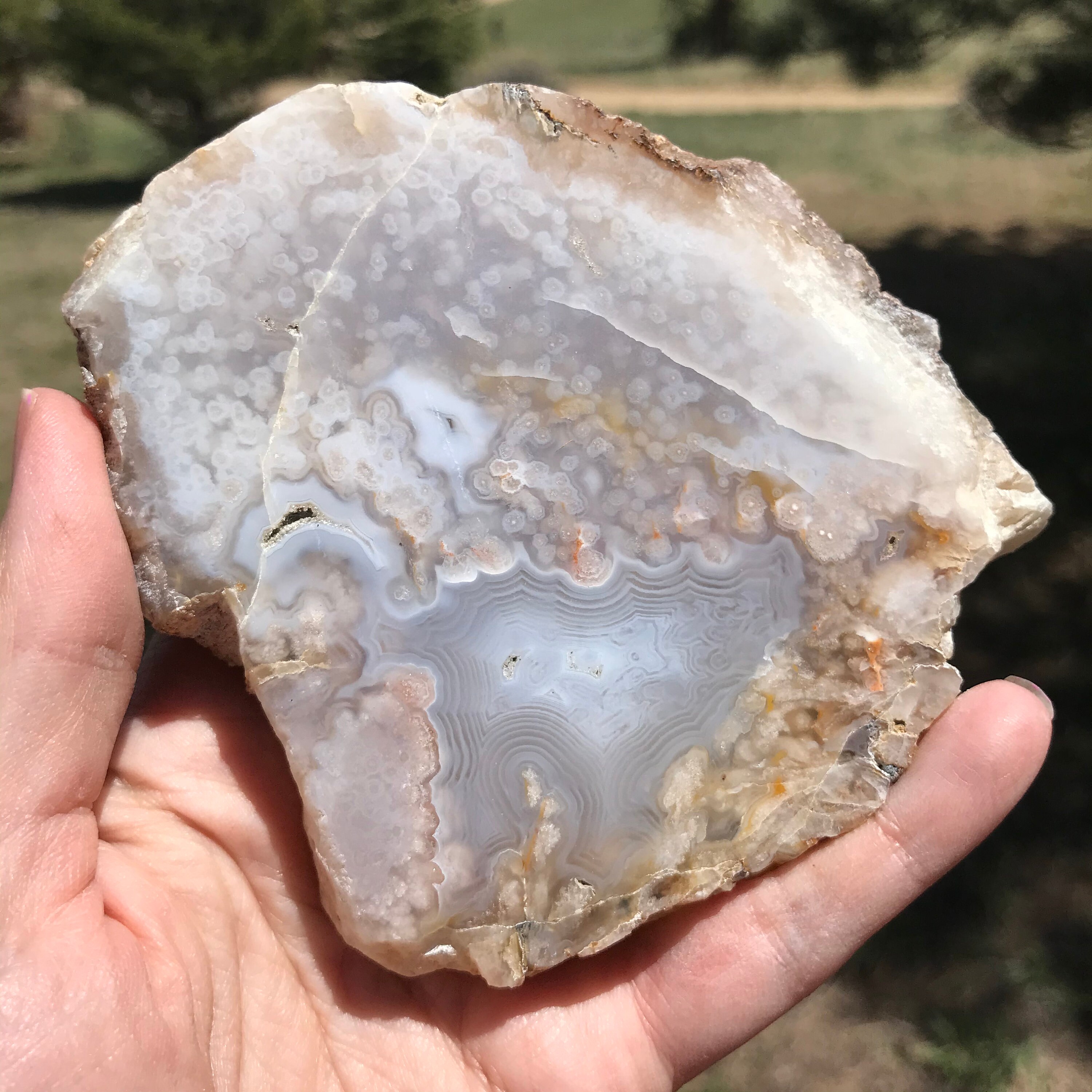 Flower Agate polished slab stone lapidary supplies | Etsy