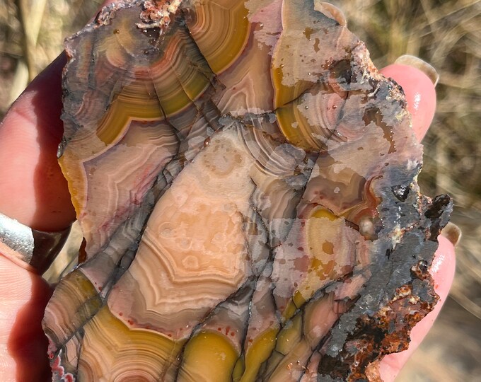 Laguna Agate Lapidary Slab Natural Stone Not Polished for Cabbing AAA ...