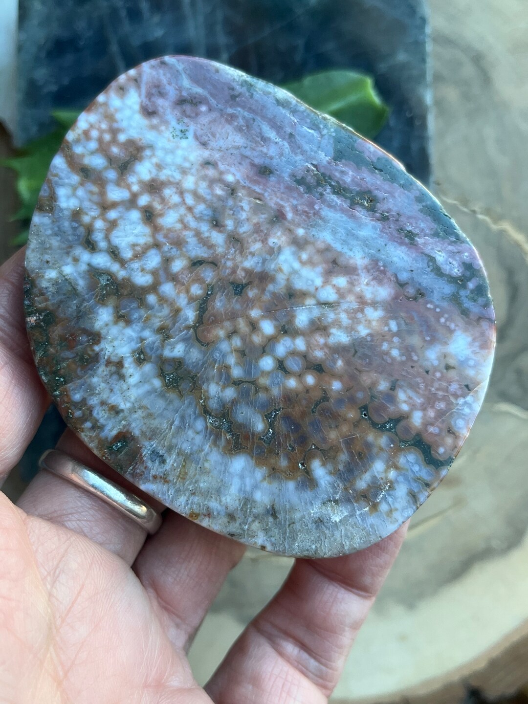 Polished Ocean Jasper Slab Lapidary Supplies Pink Green Orbicular - Etsy