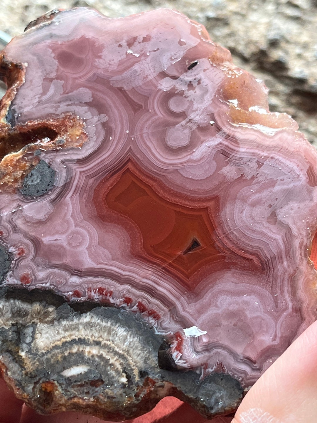 Laguna Agate Lapidary Slab Natural Stone Not Polished for - Etsy