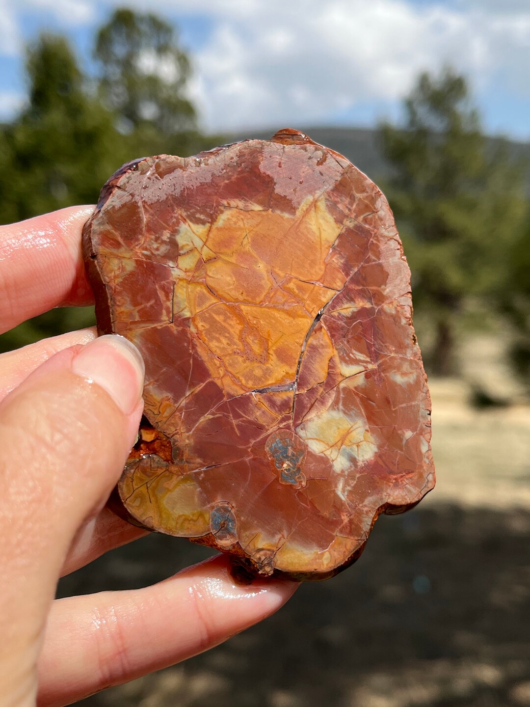 Cold Mountain Thunder Egg Lapidary Slab Natural Stone Not Polished for ...