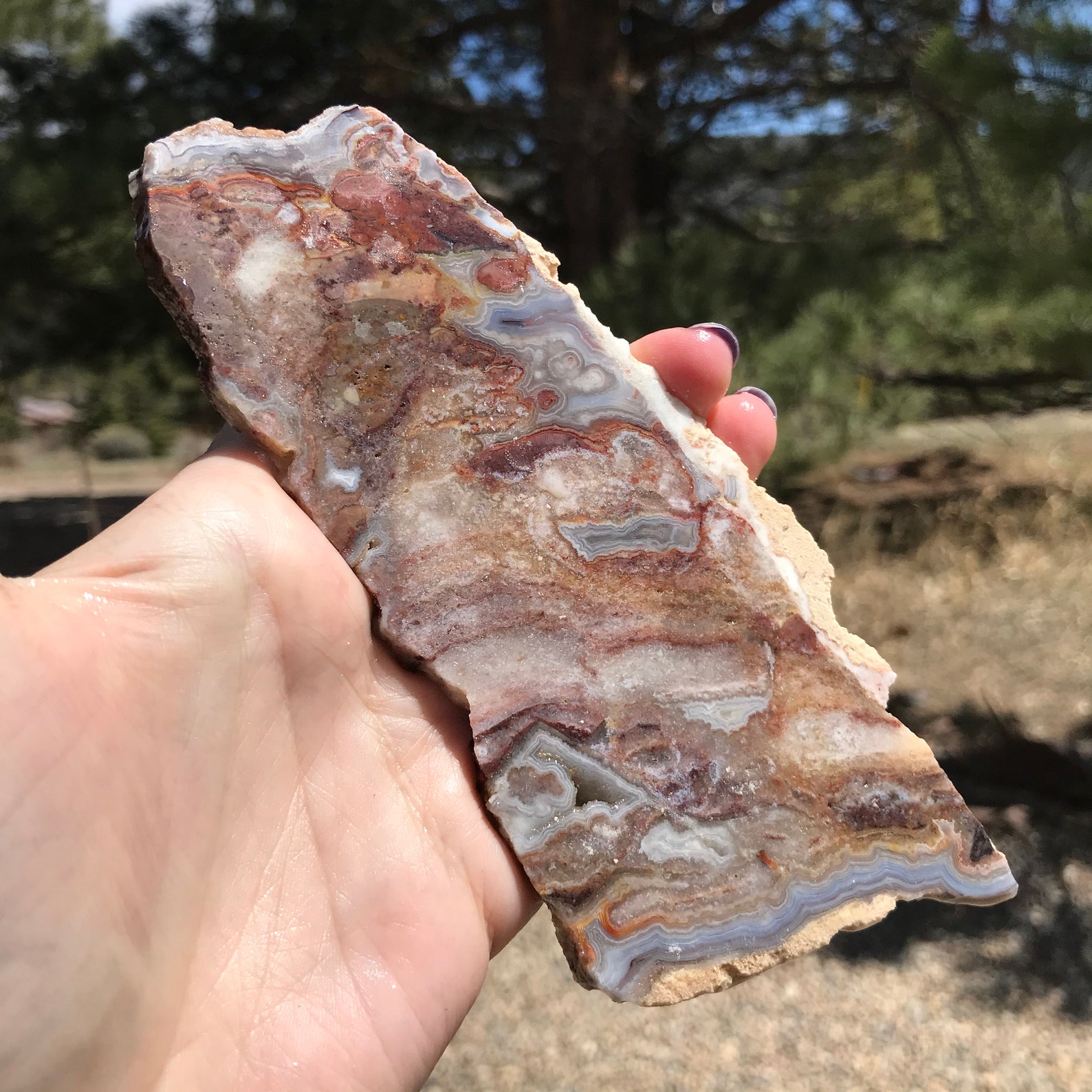 Laguna Lace Agate Lapidary rough slab nodule natural stone not | Etsy