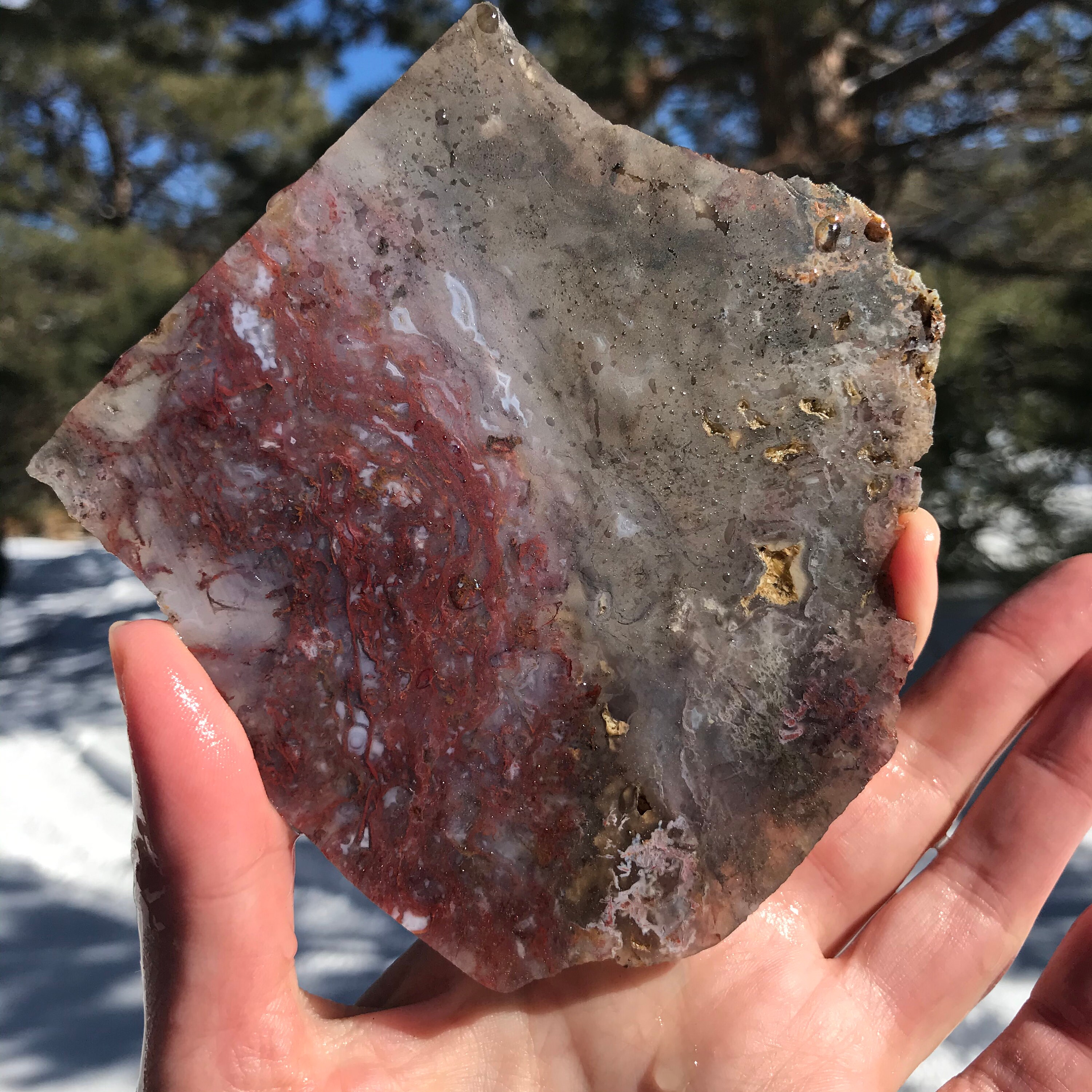 Maury Mountain Moss Agate Lapidary Slab natural stone not | Etsy