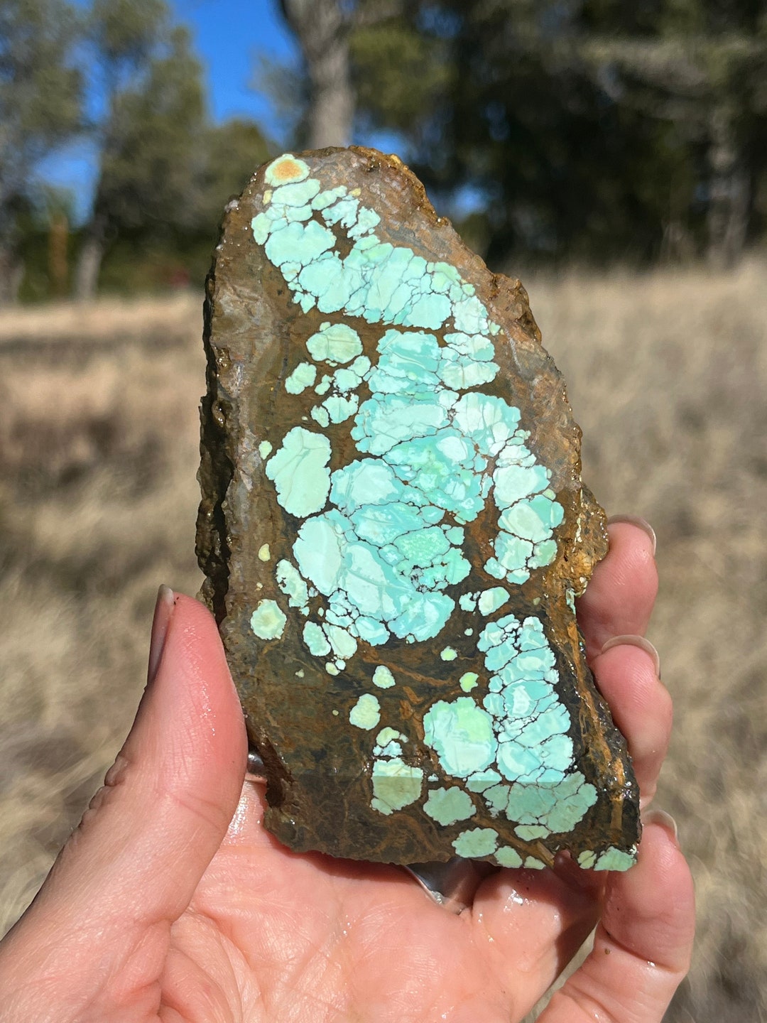 Blue Moon Turquoise Nevada Lapidary Slab Stone Stabilized - Etsy