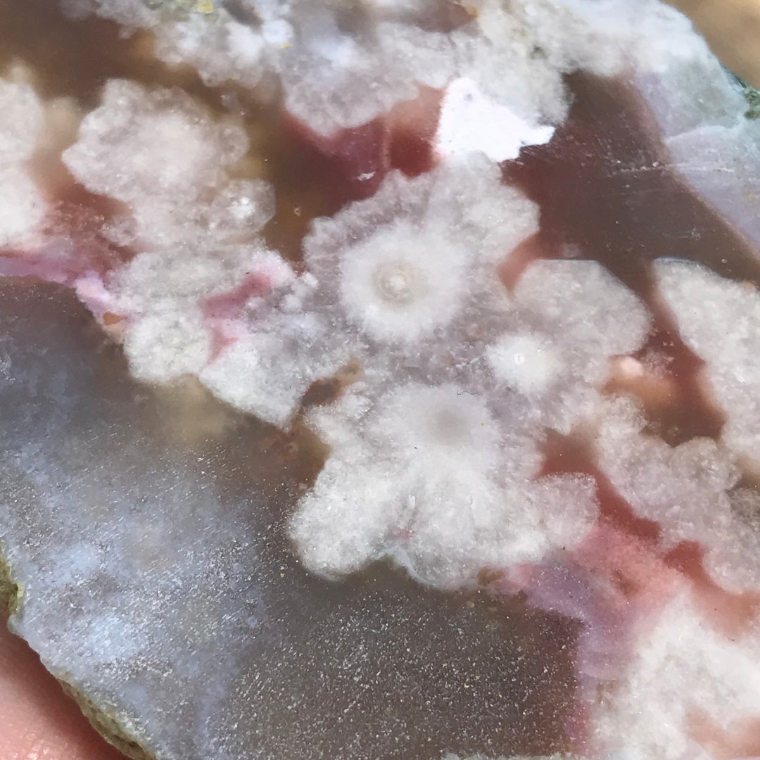 Red Pink Flower Agate Slab Not Polished Gemstone Natural - Etsy