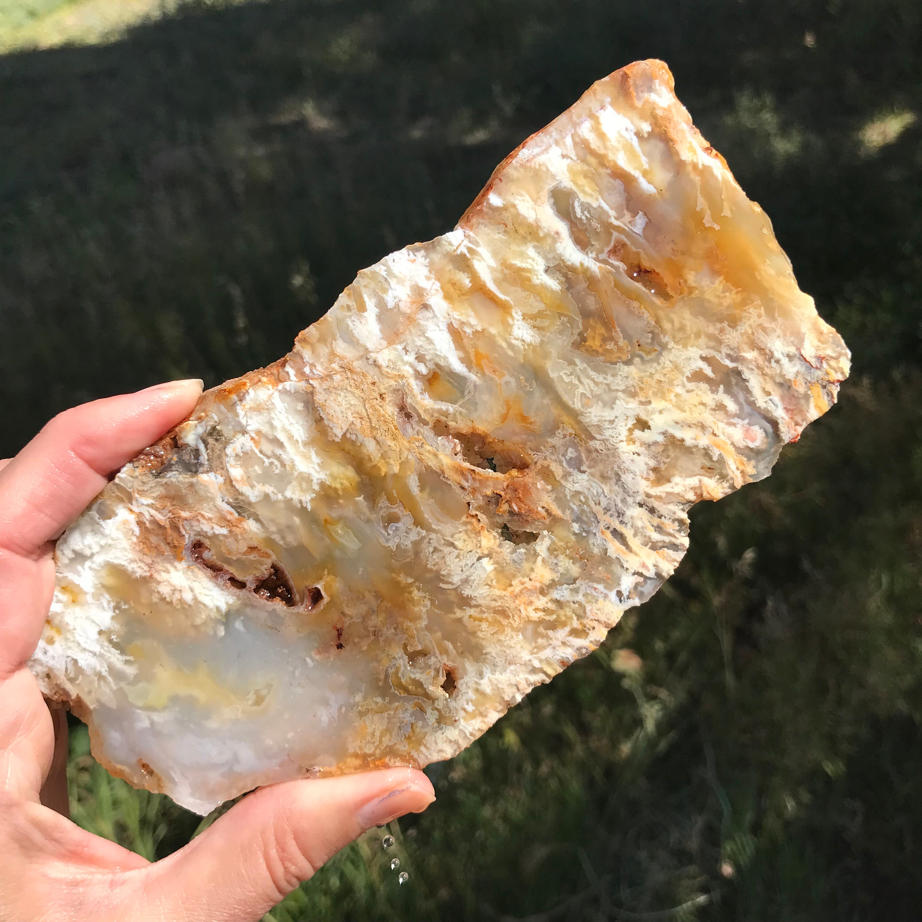 Graveyard Point Plume Agate