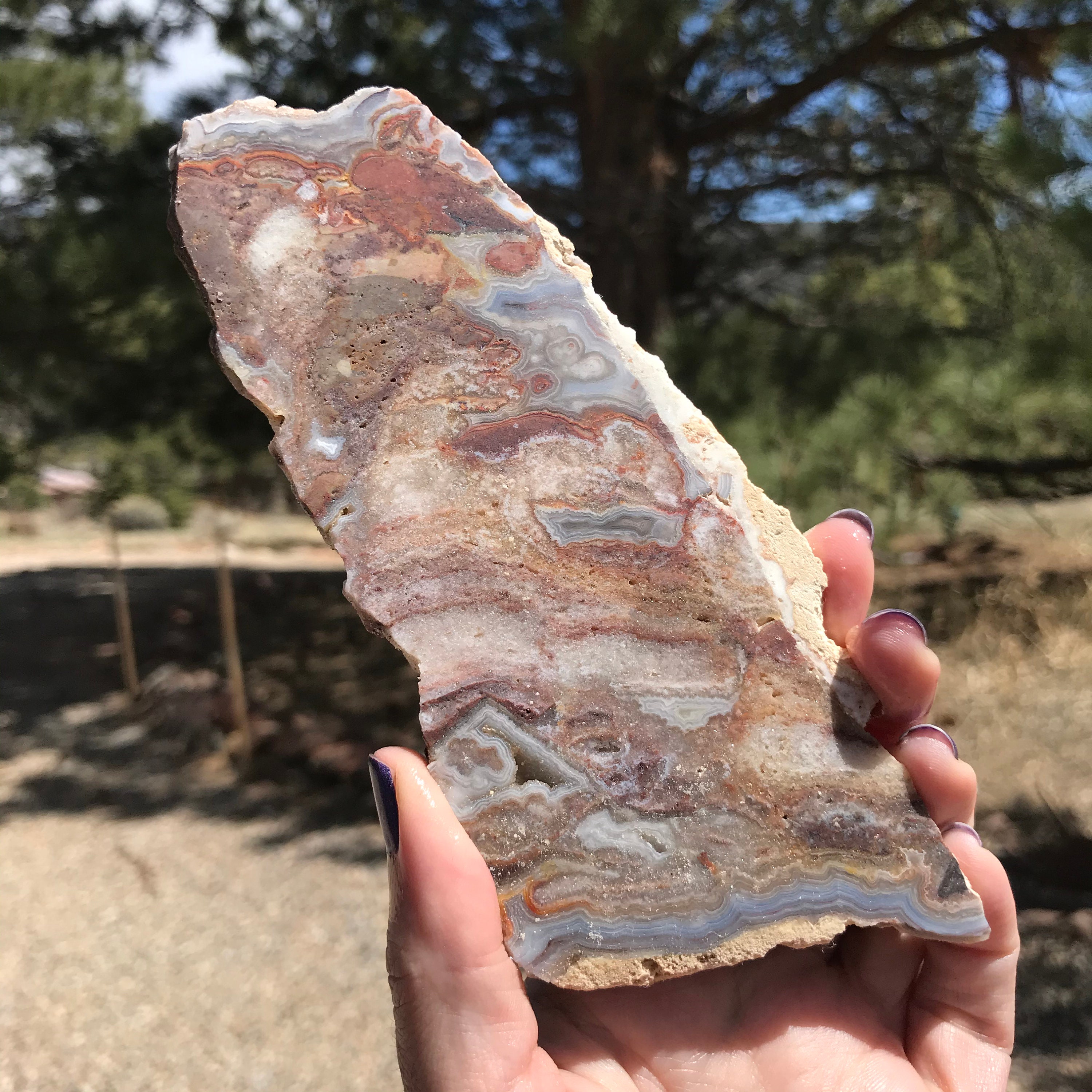 Laguna Lace Agate Lapidary rough slab nodule natural stone not | Etsy