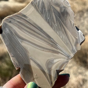 Polish Flint Lapidary Slab Natural Stone Not Polished for Cabbing - Etsy