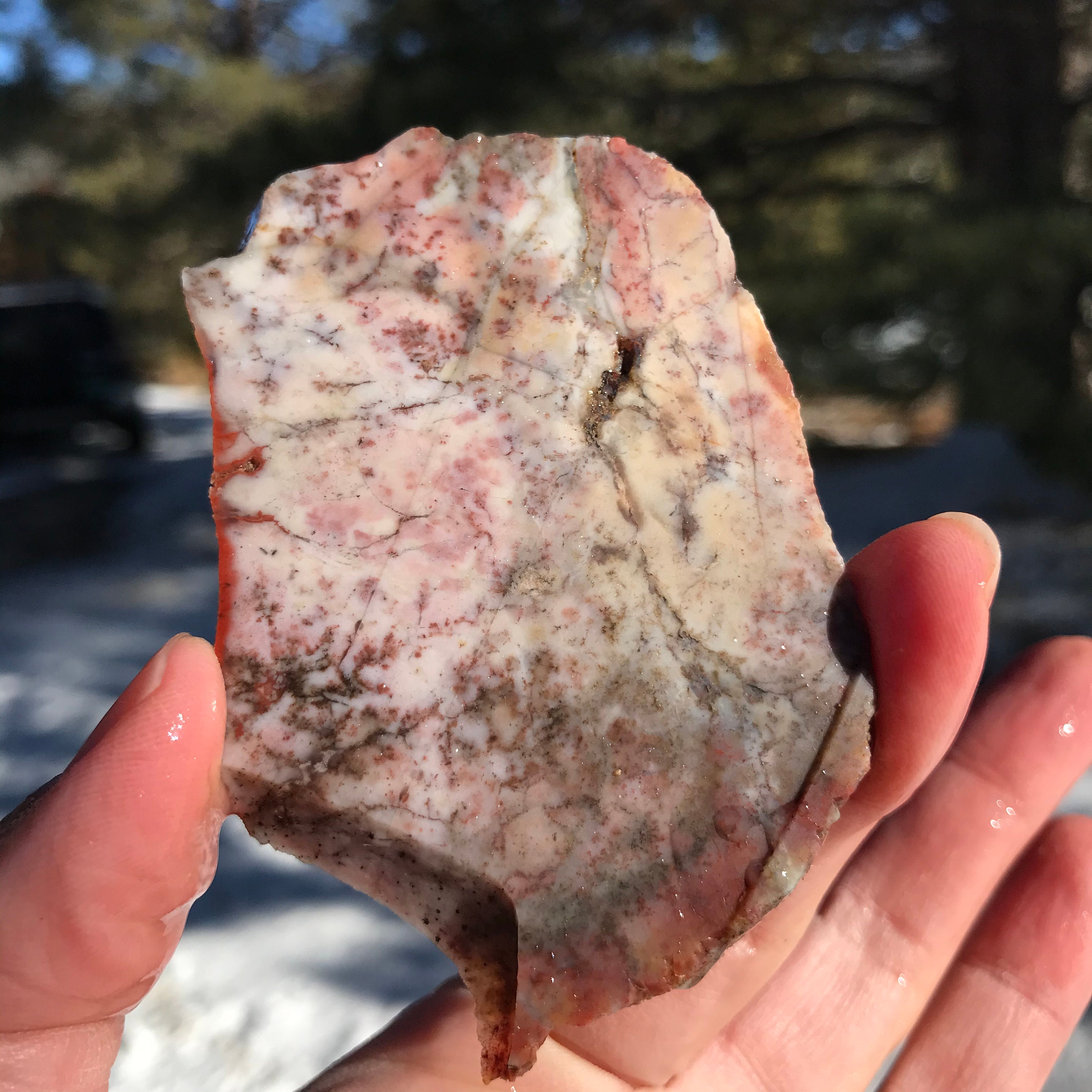 Prairie Agate Lapidary Slab Natural Stone Not Polished for Cabbing - Etsy