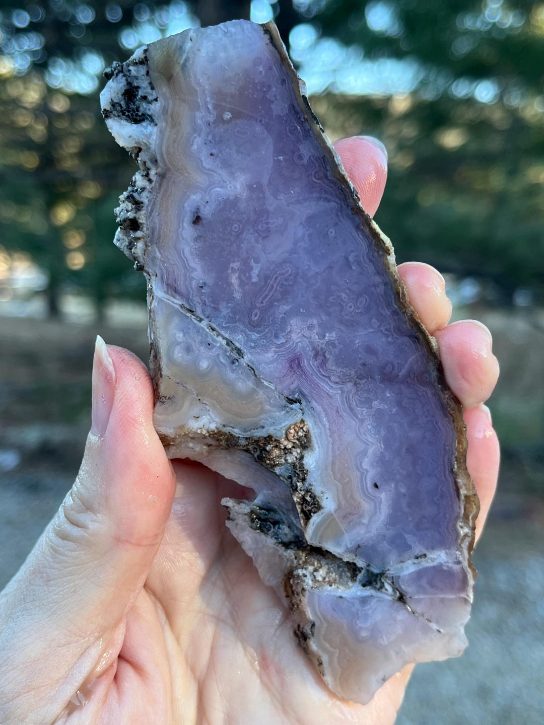 Aztec Lace Mexican Agate Rare Lapidary Slab Natural Stone Not Polished ...