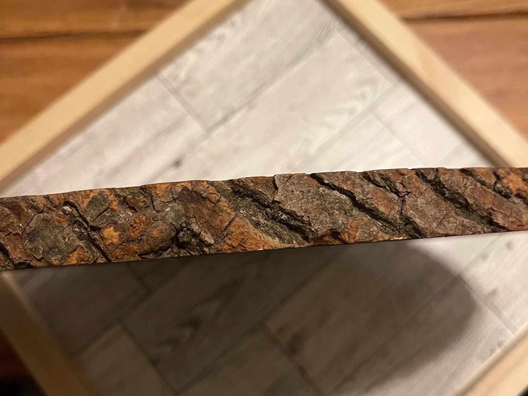 Desert Scene Wood Burning - Etsy