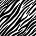 Zebra Print Quarter Window Decal - Etsy