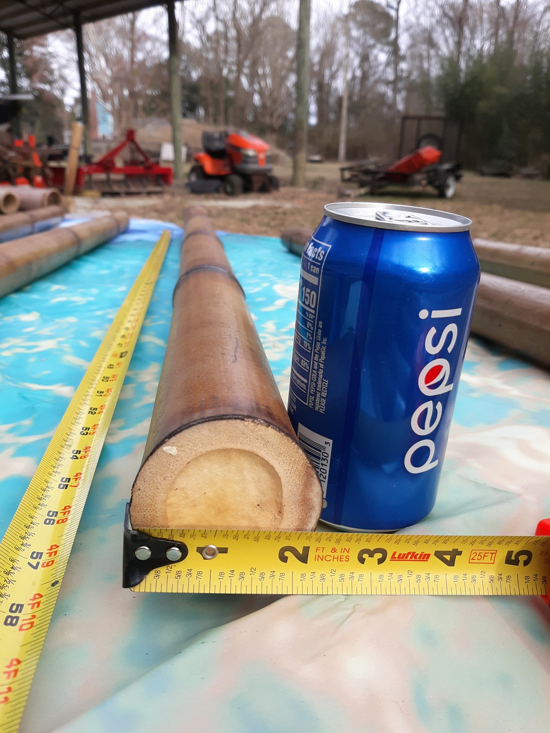 2 Flame Cured Bamboo Choose From 1 to 8 Feet Long - Etsy