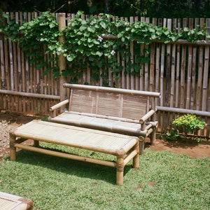 2" Fresh Cut Bamboo - Choose From 1 to 8 Feet Long - Etsy