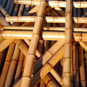 2" Flame Cured Bamboo - Choose From 1 to 8 Feet Long - Etsy