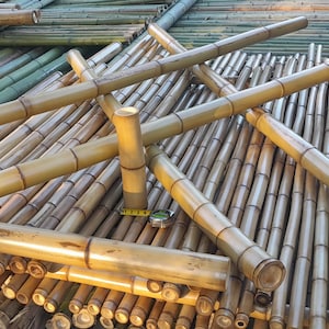 3.5" Flame Cured Bamboo - Choose From 1 to 8 Feet Long - Etsy