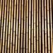 1" Fresh Cut Bamboo - Choose From 1 to 8 Feet Long - Etsy Canada