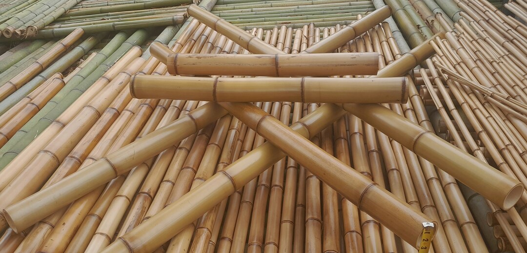 3 Flame Cured Bamboo Choose From 1 to 8 Feet Long - Etsy