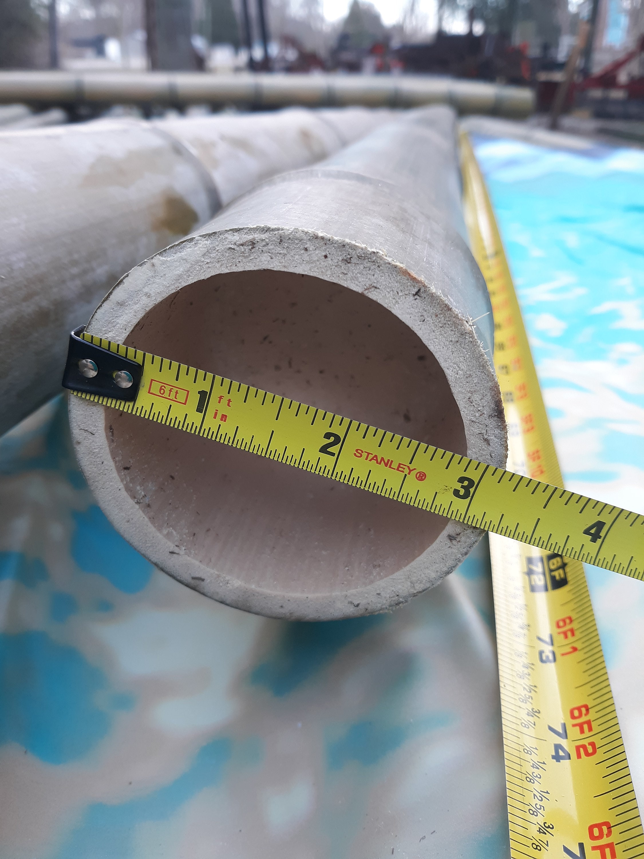 3" Fresh Cut Bamboo - Choose From 1 to 8 Feet Long - Etsy