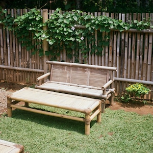 1" Fresh Cut Bamboo - Choose From 1 to 8 Feet Long - Etsy