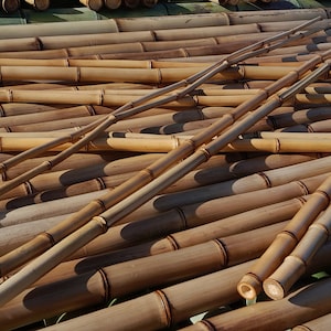 1/2"-1" Flame Cured Bamboo - Choose From 1 to 6 Feet Long - Etsy