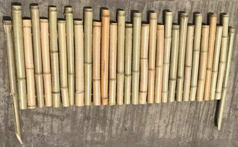1" Fresh Cut Bamboo - Choose From 1 to 8 Feet Long - Etsy