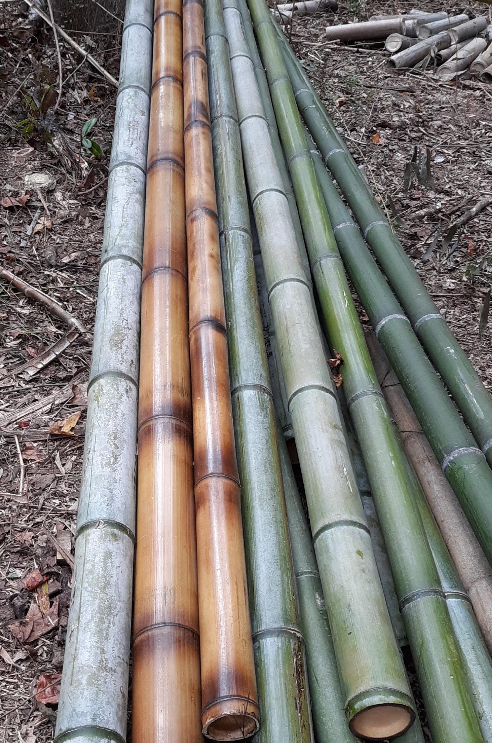 Bamboo Limbo Stix