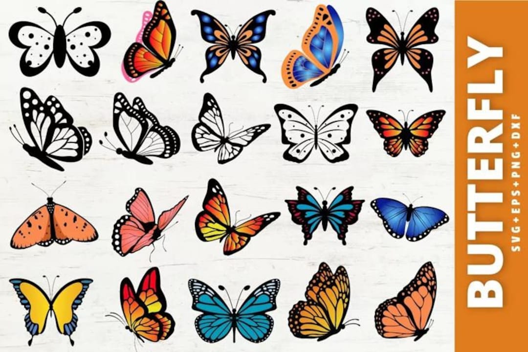 Butterfly SVG, Butterfly Bundle SVG Files, Butterfly SVG Layered ...