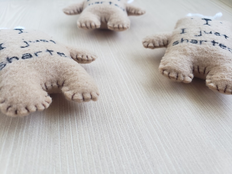 ONE I Just Sharted Bear Funny Christmas Decor, Gifts for Him Men Wife ...