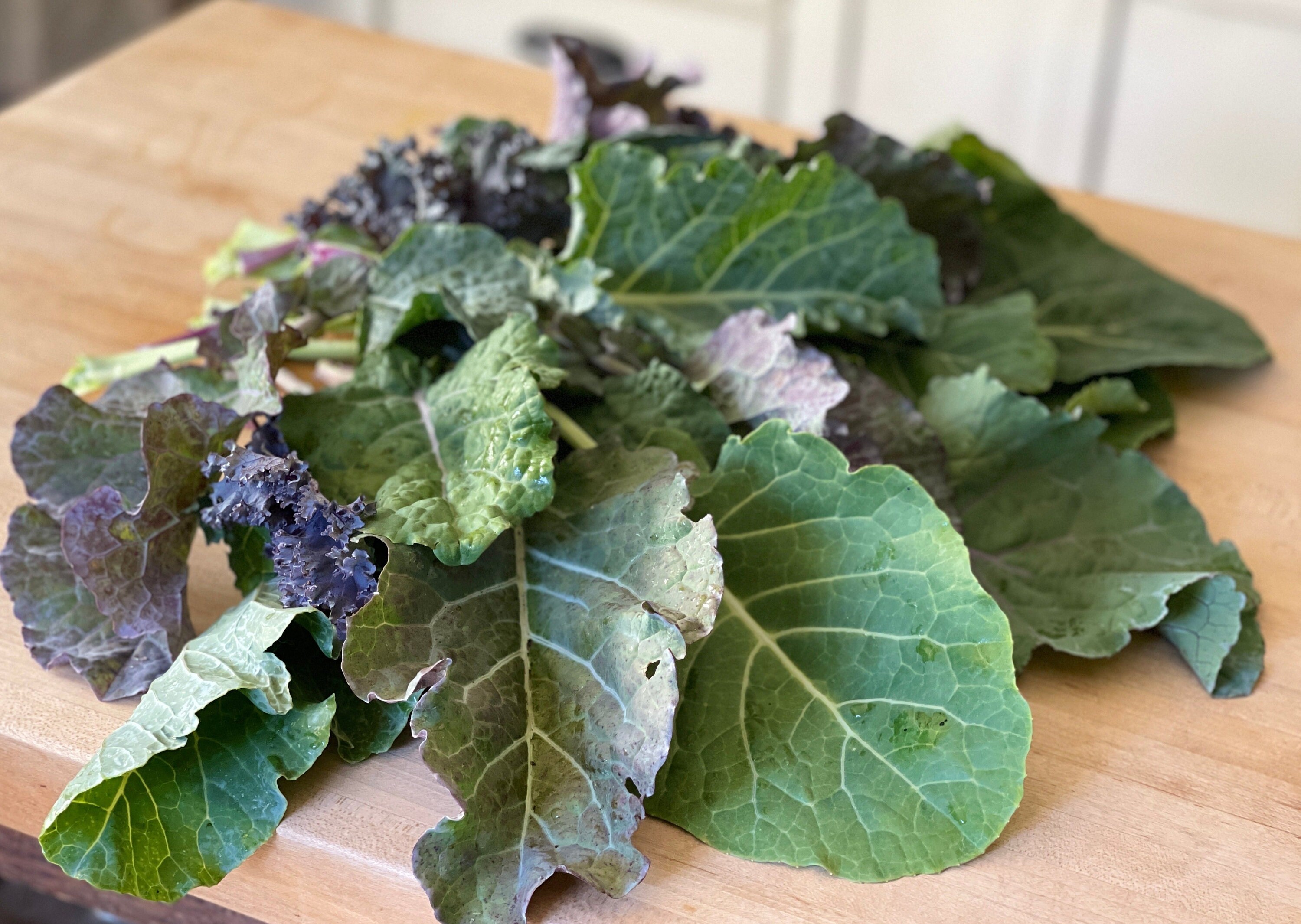 PERMA KALES & COLLARDS - Brassica Buffet (seed Packet of Approx 15 ...