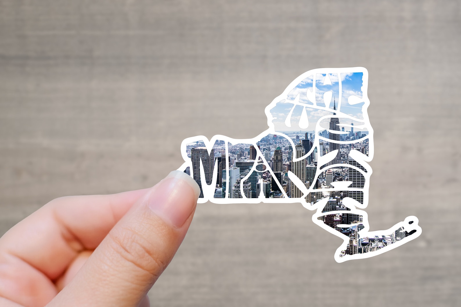 50 States Sticker, Gift Idea, Car Sticker, Waterproof Sticker, Laptop ...