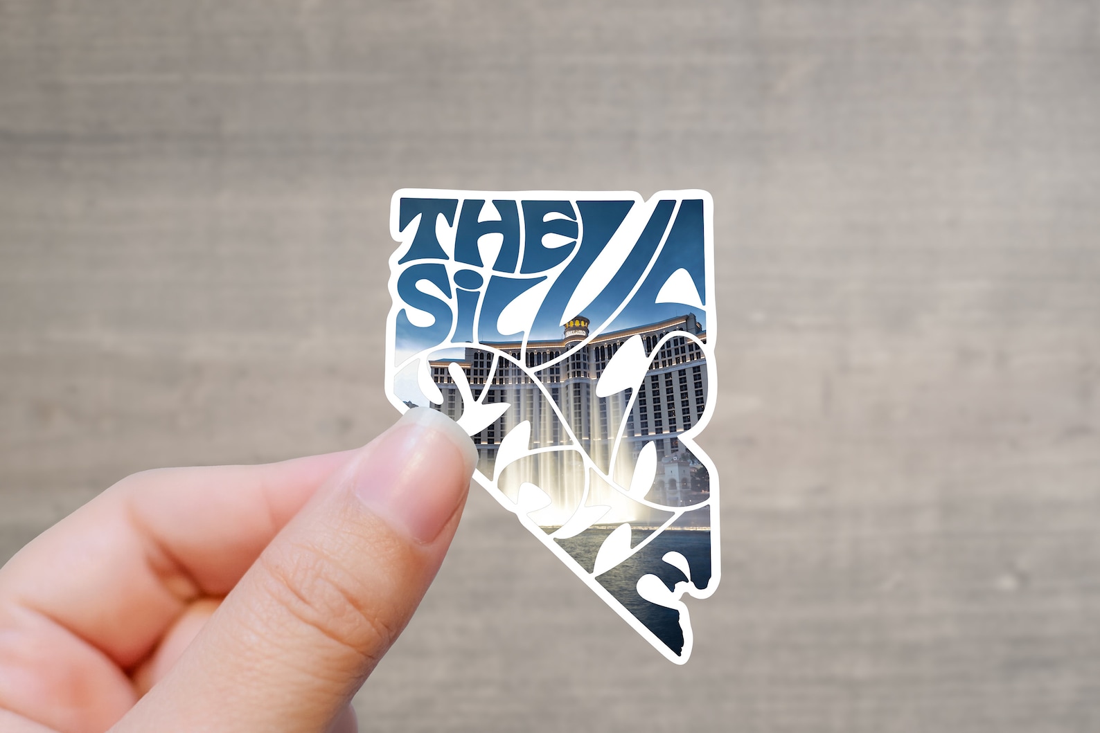 50 States Sticker, Gift Idea, Car Sticker, Waterproof Sticker, Laptop ...