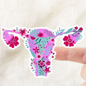 Uterus Sticker, Womens Reproductive Rights, Feminist Sticker, Women ...