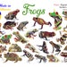 Frog and Toad Digital Stickers, Frog Svg, Toads Png Deco Stickers for ...