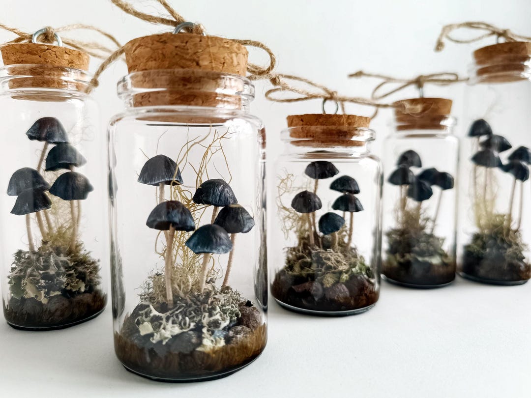 Mushroom Terrarium Jar, Goth Room Decor, Mushroom Ornament. - Etsy