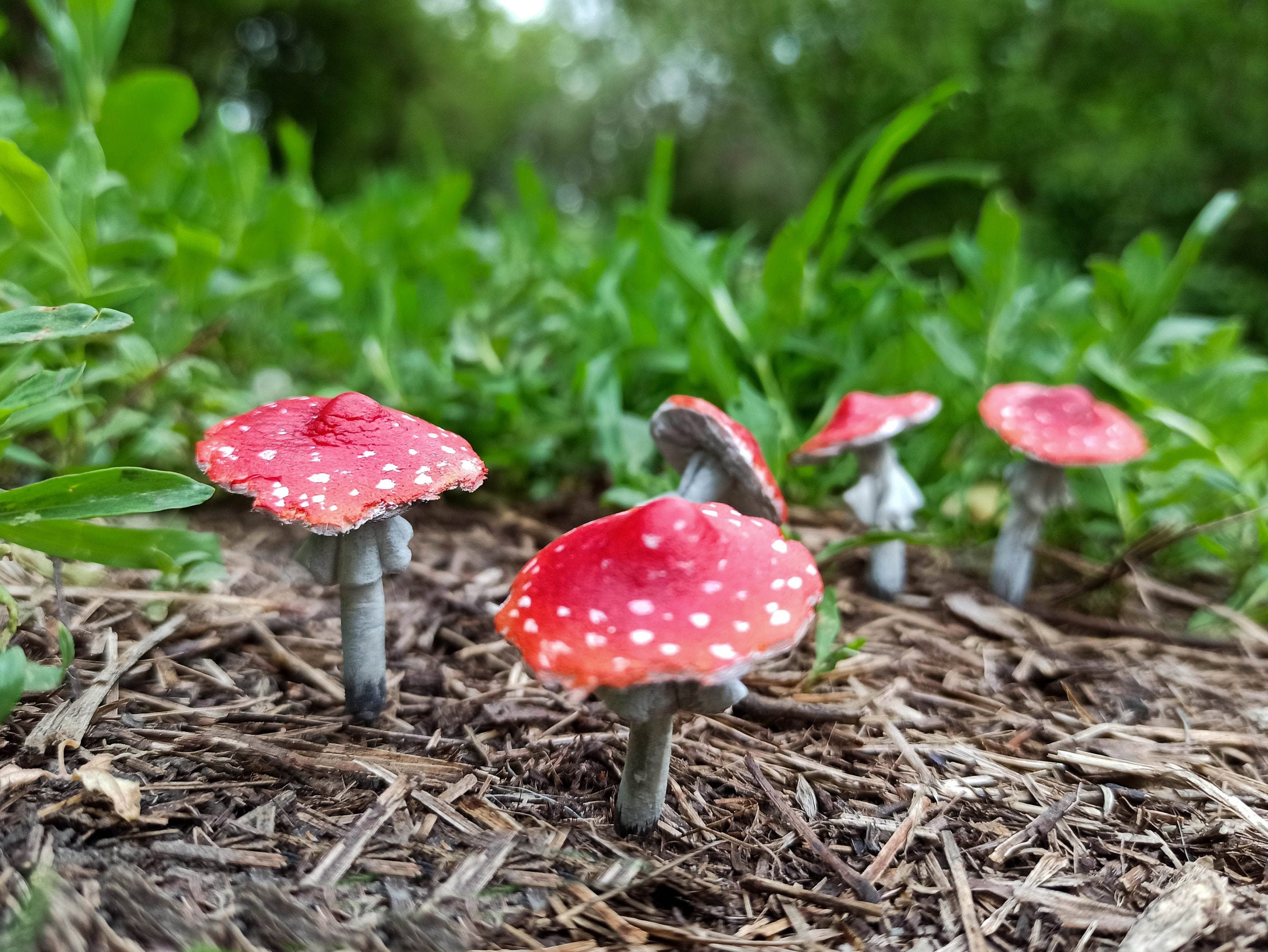 Set Fairy Garden realistic mushrooms Tiny mushrooms for | Etsy