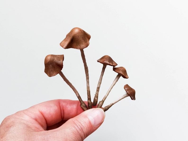 Mushroom Terrarium Psychedelic Shrooms, Plant Decor Brown Tiny ...