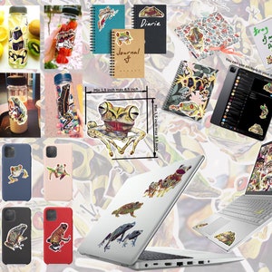 Frog and Toad Digital Stickers, Frog Svg, Toads Png Deco Stickers for ...