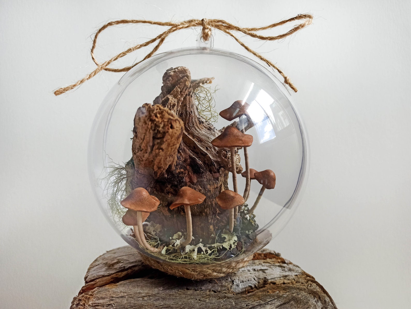 Mushroom Terrarium Psychedelic Shrooms, Plant Decor Brown Tiny ...