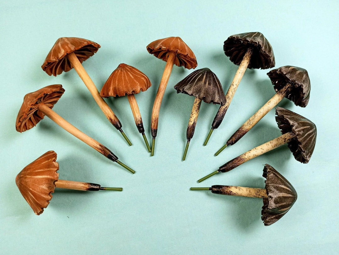 Magic Mushroom Kit, Artificial Mushroom Psychedelic Shrooms, Fairy ...