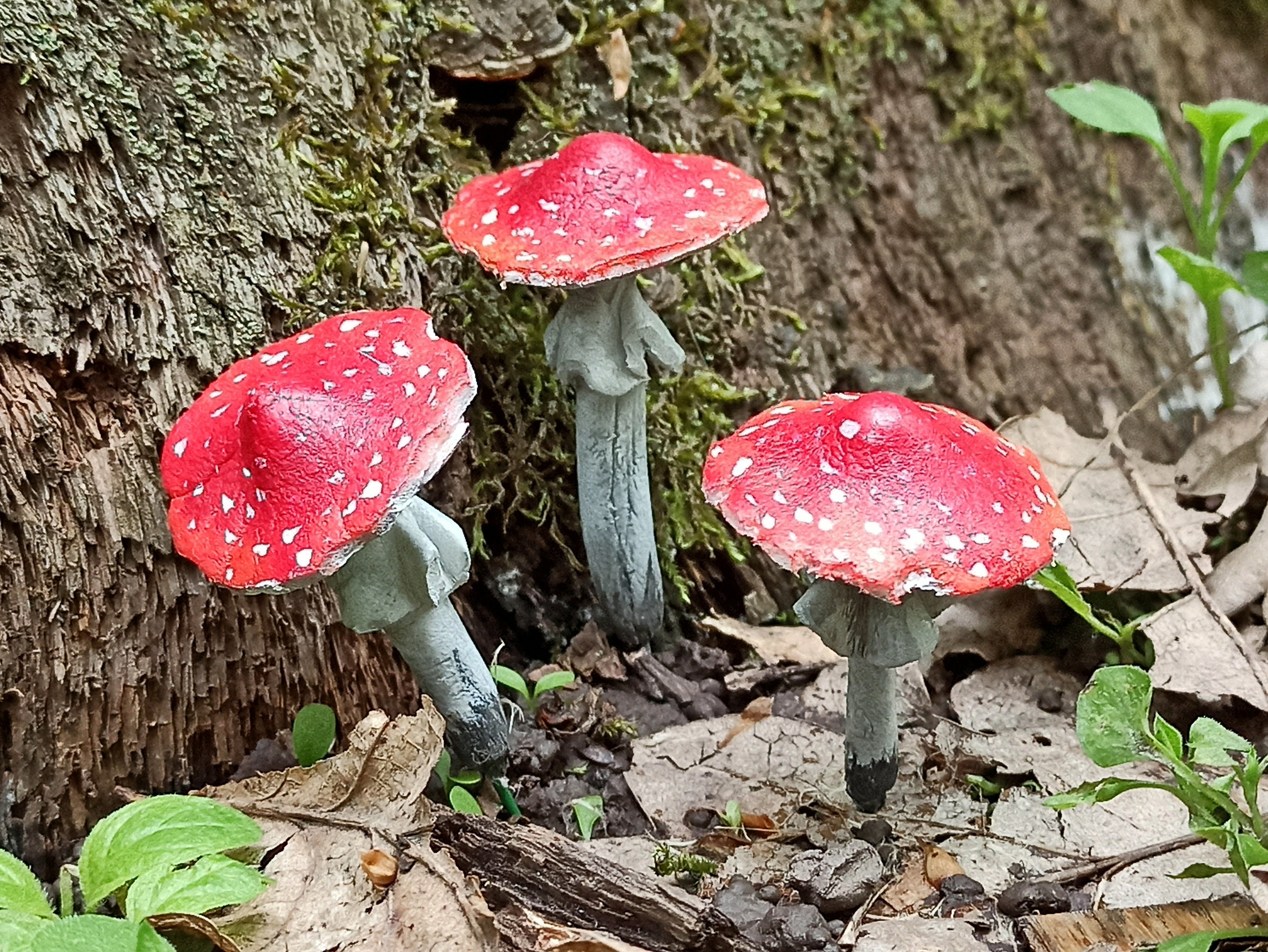 Set Fairy Garden realistic mushrooms Tiny mushrooms for | Etsy