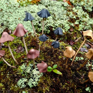 Mushroom Terrarium Psychedelic Shrooms, Plant Decor Brown Tiny ...