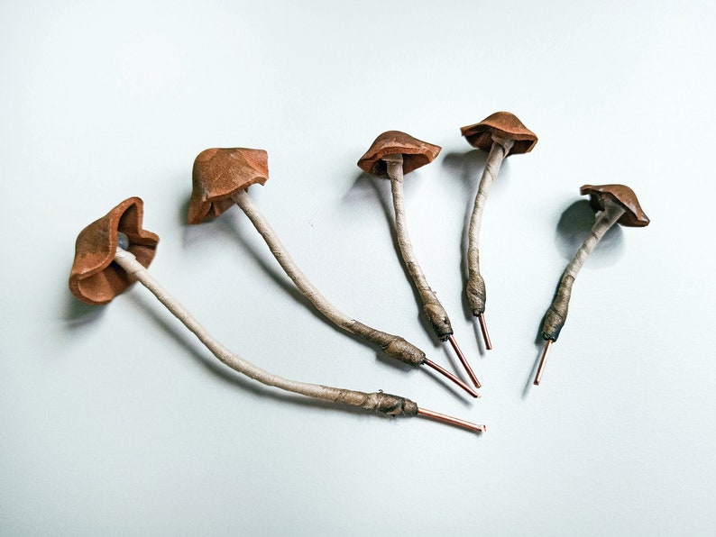 Mushroom Terrarium Psychedelic Shrooms, Plant Decor Brown Tiny ...