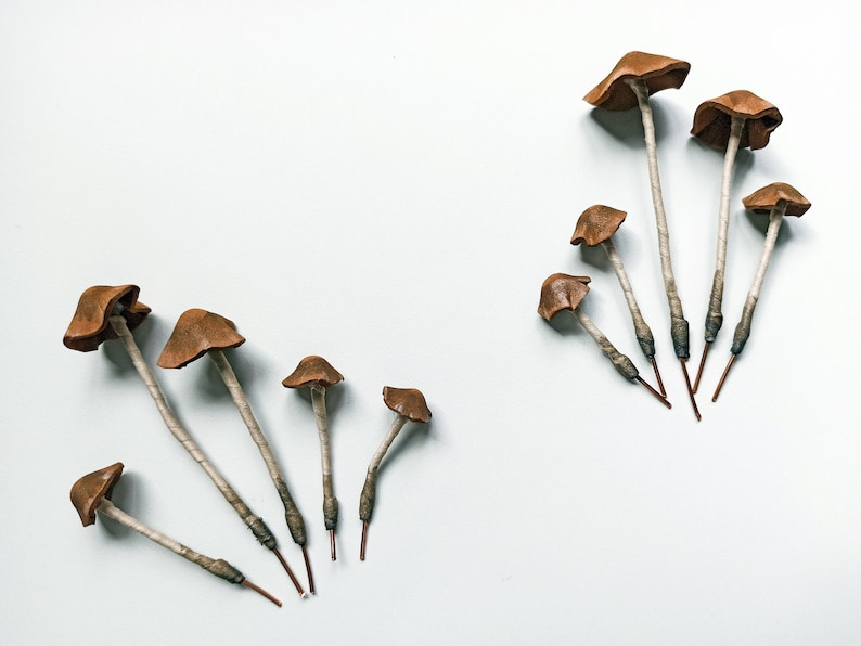 Mushroom Terrarium Psychedelic Shrooms, Plant Decor Brown Tiny ...