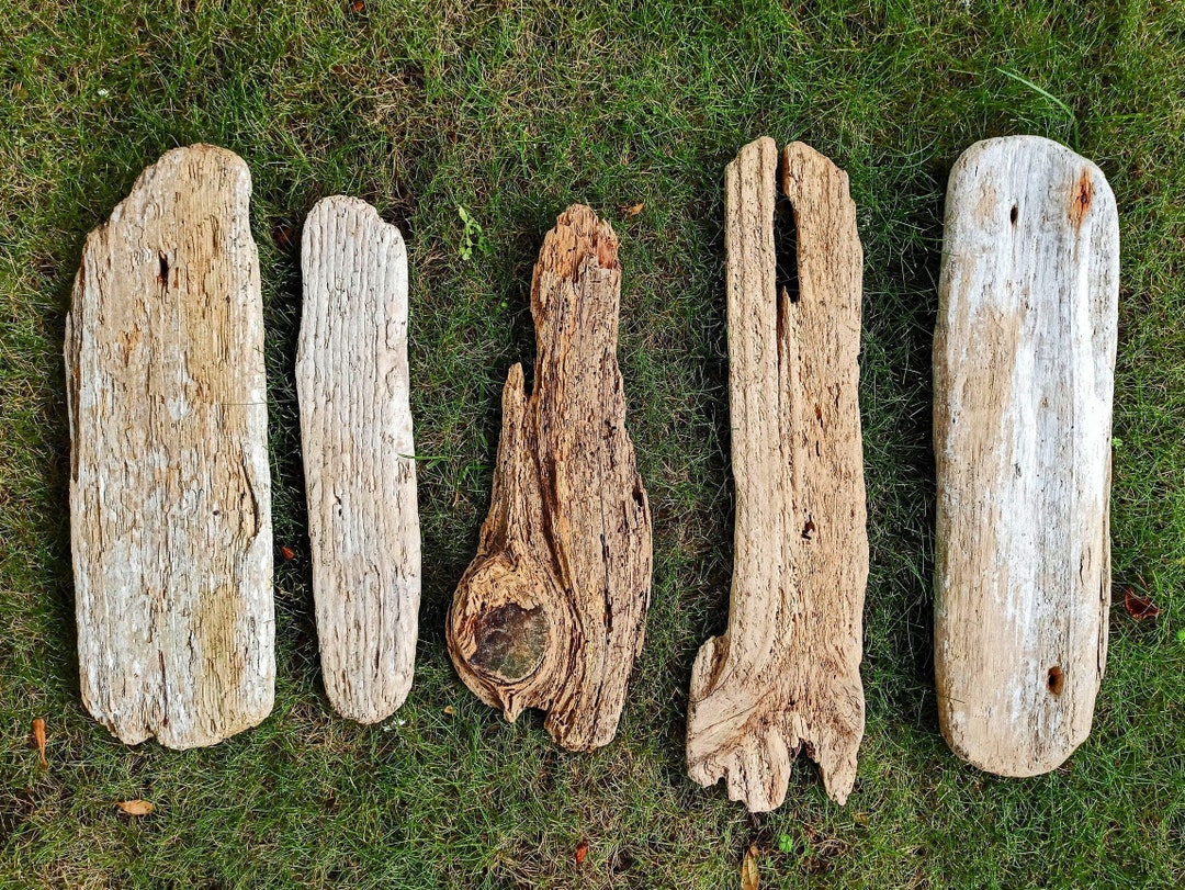 Flat Small Driftwood Plank Wood Coastal Decor Blank Wood - Etsy