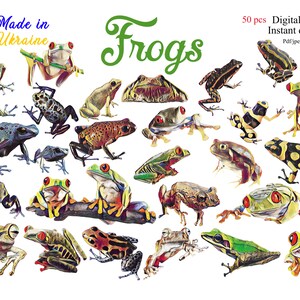 Frog and Toad Digital Stickers, Frog Svg, Toads Png Deco Stickers for ...