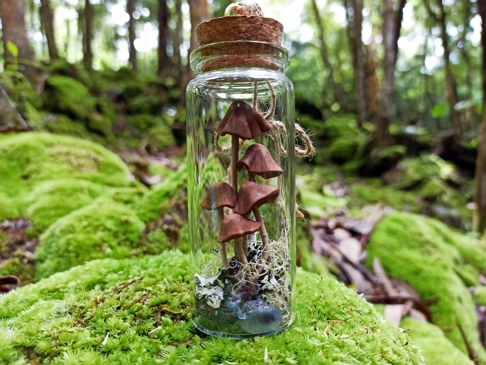 Mushroom Terrarium Psychedelic Shrooms, Plant Decor Brown Tiny ...