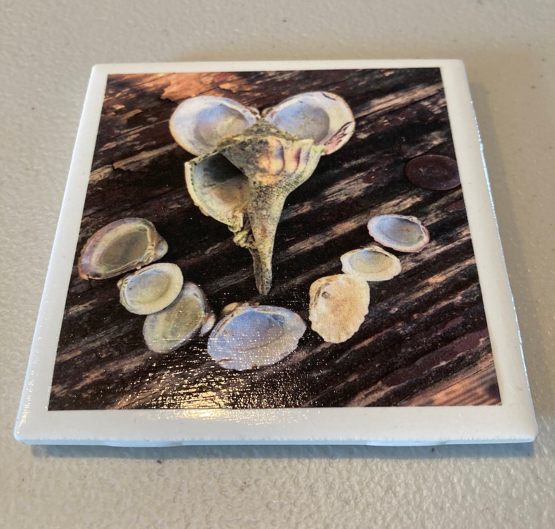 Shell Smiley Face on Coasters - Etsy